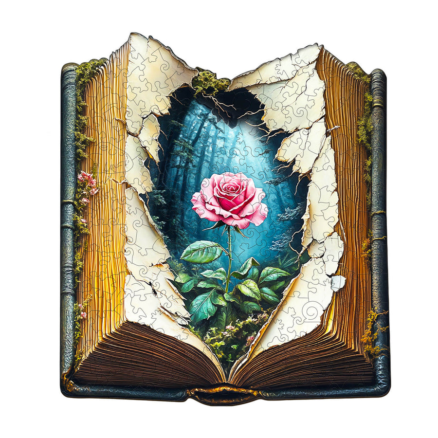 3D Vision Puzzles | 3D Visual Puzzles for Creative Minds – Woodbests